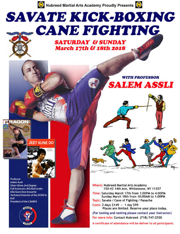 Professor Salem Assli - NUBREED MARTIAL ARTS - Whitestone Queens, NY